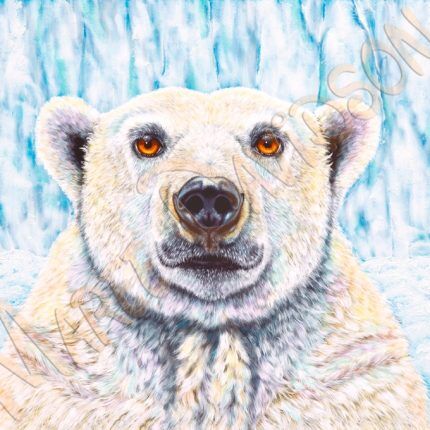 polar bear picture to print
